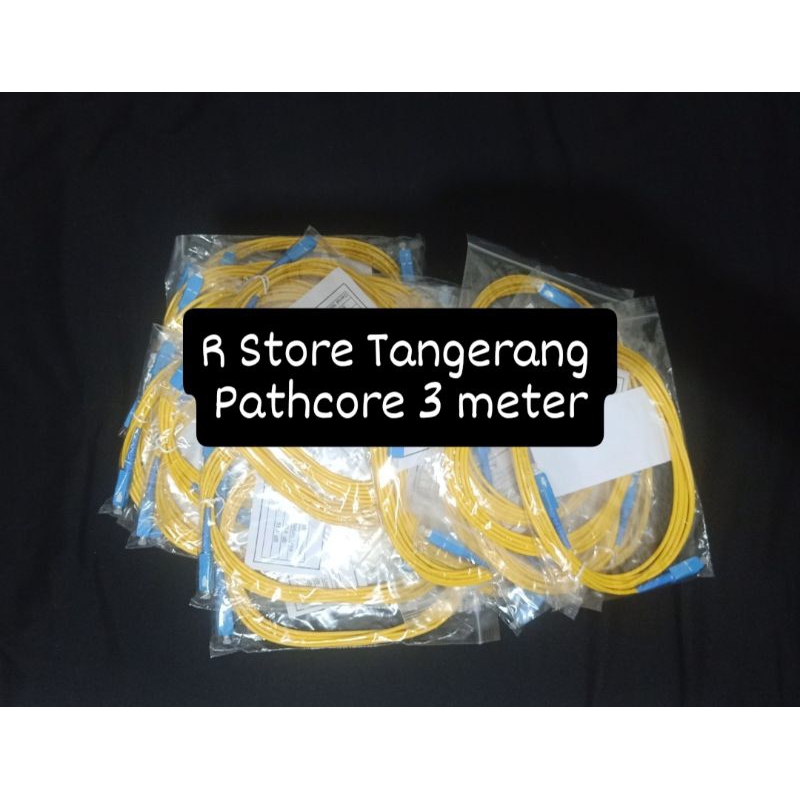 Jual Pathcore 3 meter | Shopee Indonesia