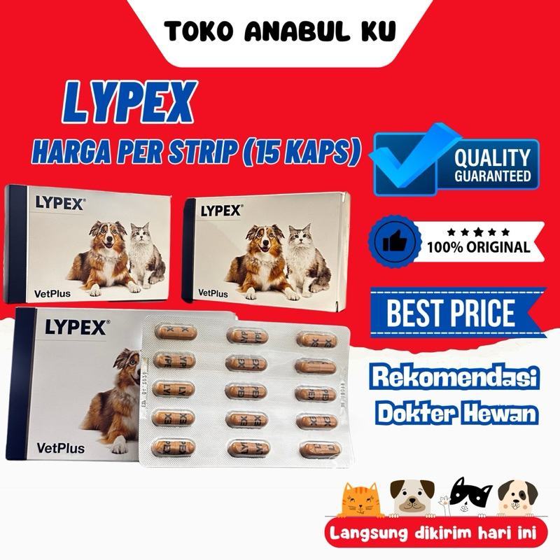Jual Lypex Vetplus PER STRIP 15 kapsul enzim pencernaan anti diare ...
