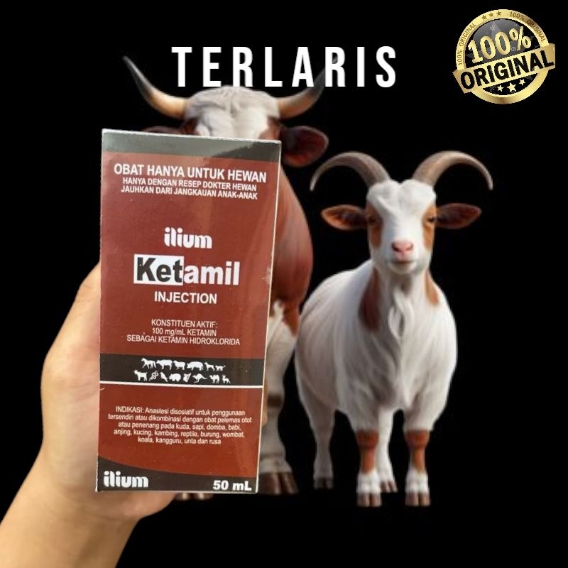 Jual KETAMIL ILIUM INJECTION ASLI ORIGINAL UNTUK HEWAN | Shopee Indonesia