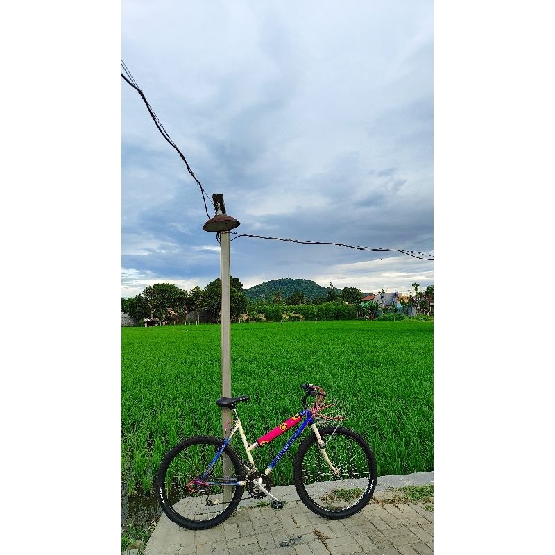 Jual Sepeda federal lady | Shopee Indonesia