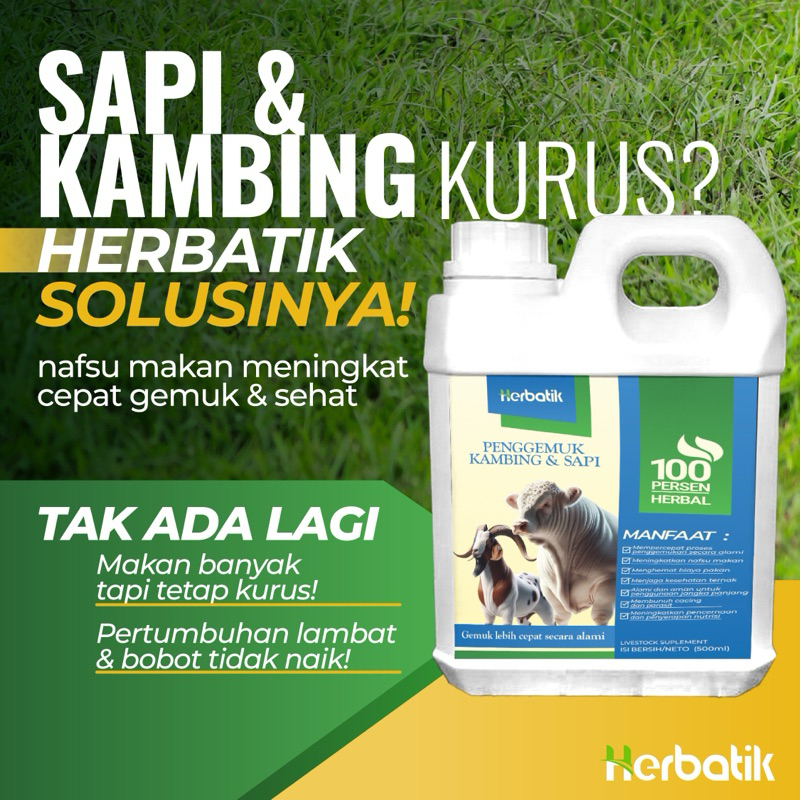 Jual (1 Liter) Herbatik penggemuk sapi penggemuk kambing, suplemen ...