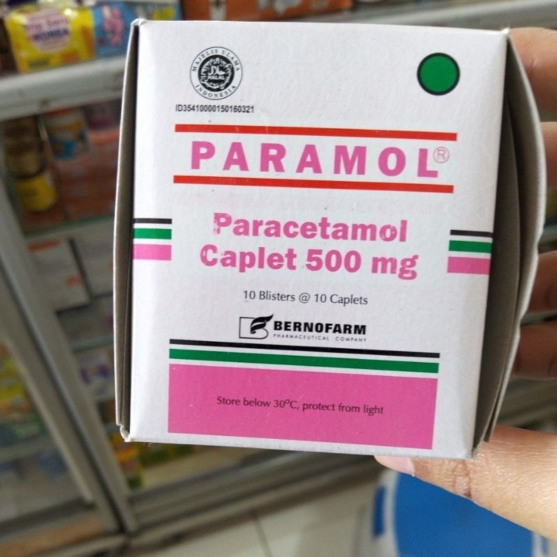Jual PARAMOL TAB(paracetamol 500mg)perbox | Shopee Indonesia