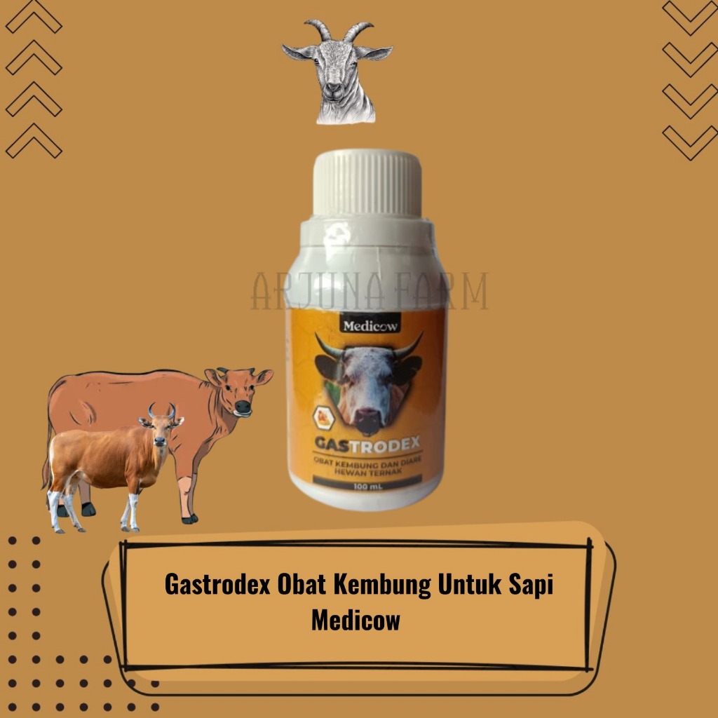 Jual Medicow Gastrodex Obat Diare Kembung Ternak Sapi Kambing Domba ...