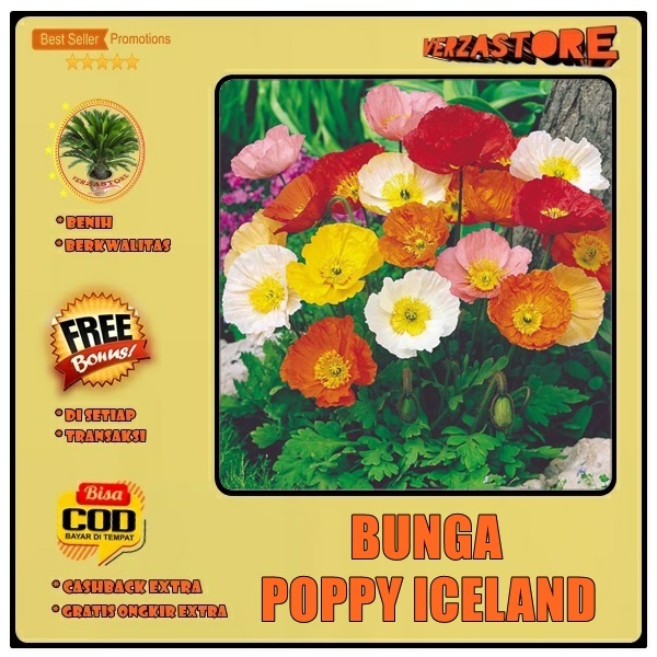Jual Biji Benih Bibit Bunga Poppy Mixed Iceland /10 Biji | Shopee Indonesia