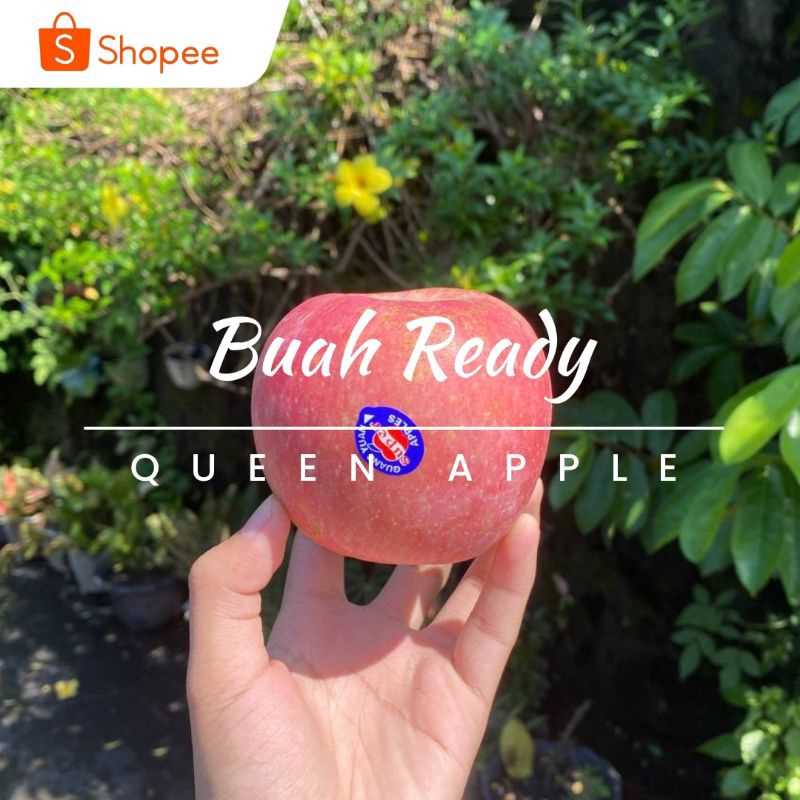 Jual QUEEN APPLE/ KG | Shopee Indonesia
