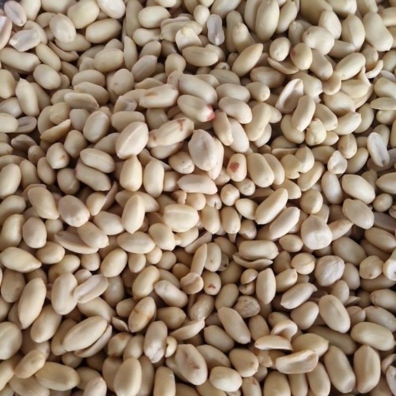 Jual Kacang kupas besar | Shopee Indonesia