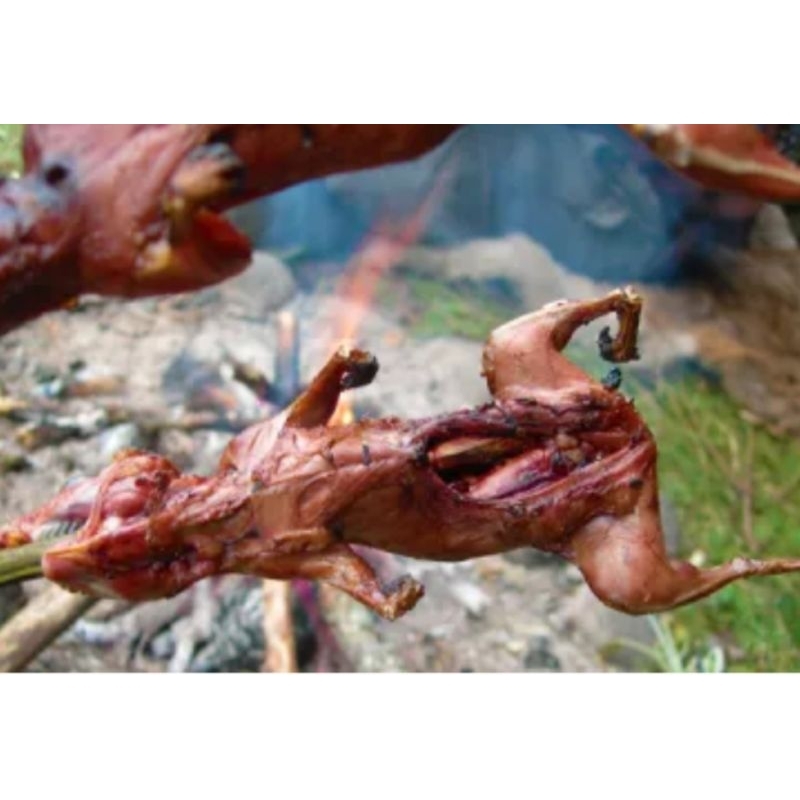 Jual daging tupai bakar 2 ekor | Shopee Indonesia