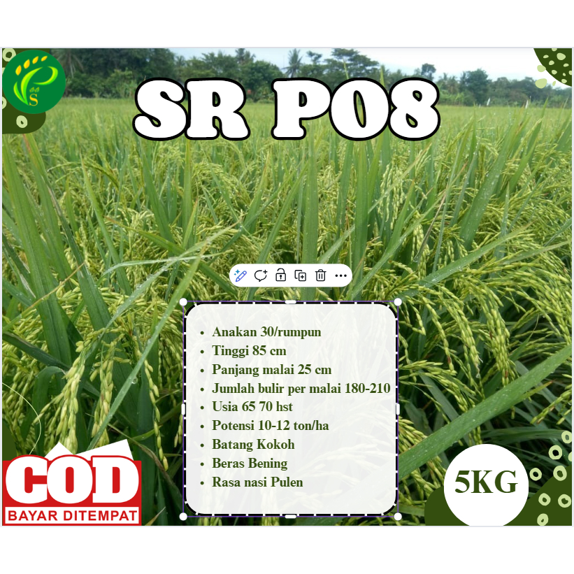 Jual Biji Padi Super Gejah SR P08 5KG | Shopee Indonesia
