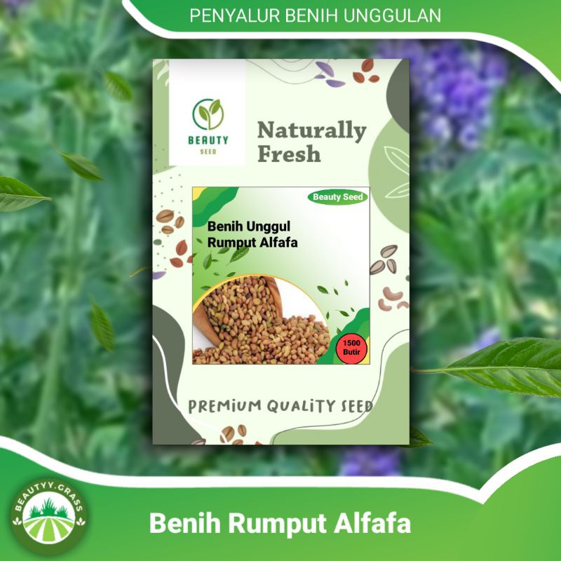 Jual Benih Rumput Alfafa Super 8gr / Pakan Ternak Alfafa Super 1500 ...