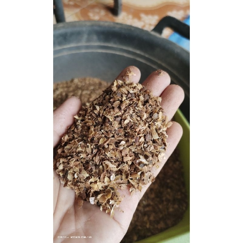 Jual Kulit ari kopi (cascara) | Shopee Indonesia