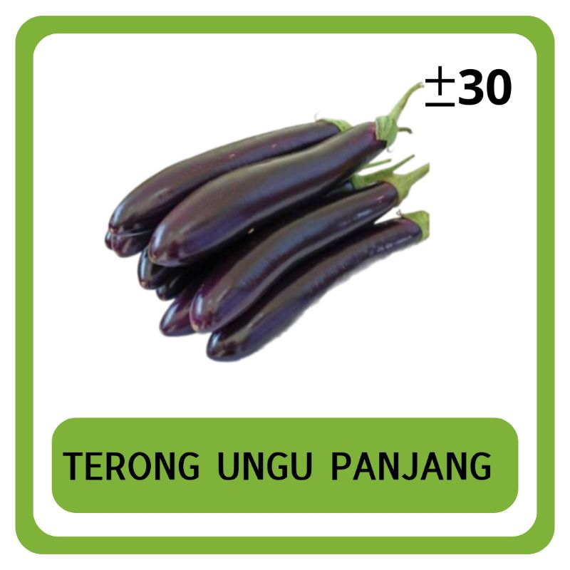 Jual Benih Terong Ungu Panjang Eceran 30 Biji | Shopee Indonesia