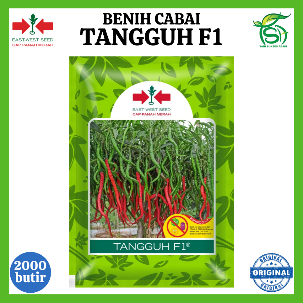 Jual Benih Cabai TANGGUH F1 Kemasan 2000 Butir - Bibit Cabe Keriting ...