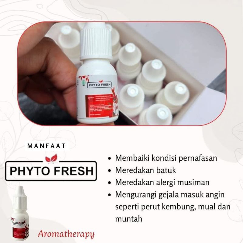 Jual PHYTO FRESH | PHYTOFRESH HERBAL ATASI DEMAM, PUSING, MUAL, PEGAL ...