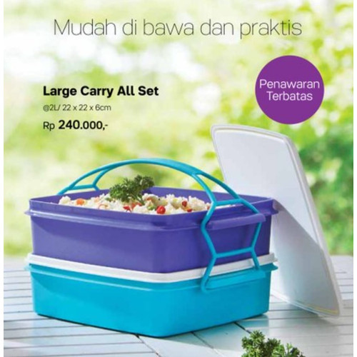 Jual Large Double Deep Tupperware - LARGE CARRY ALL SET- NEW bkn SEKEN ...