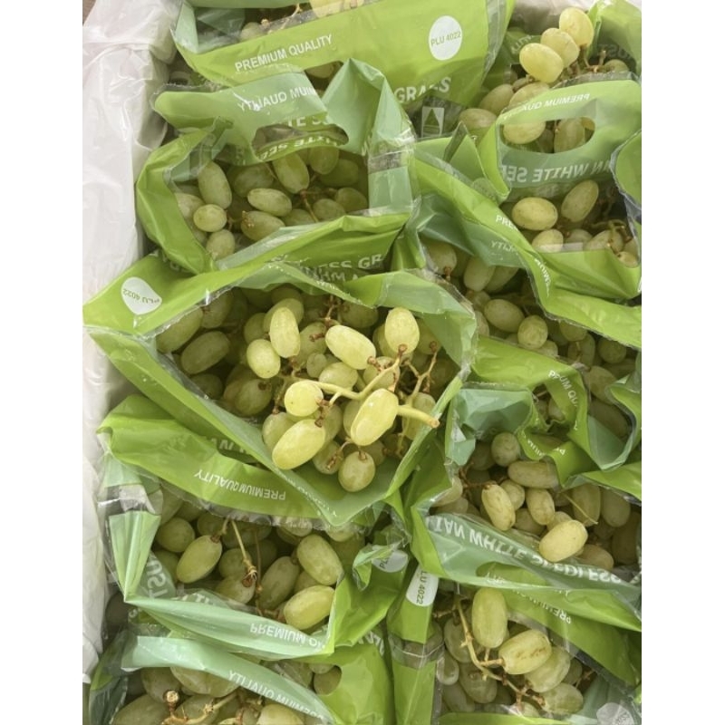 Jual Anggur Hijau Thompson 1kg Malang | Shopee Indonesia