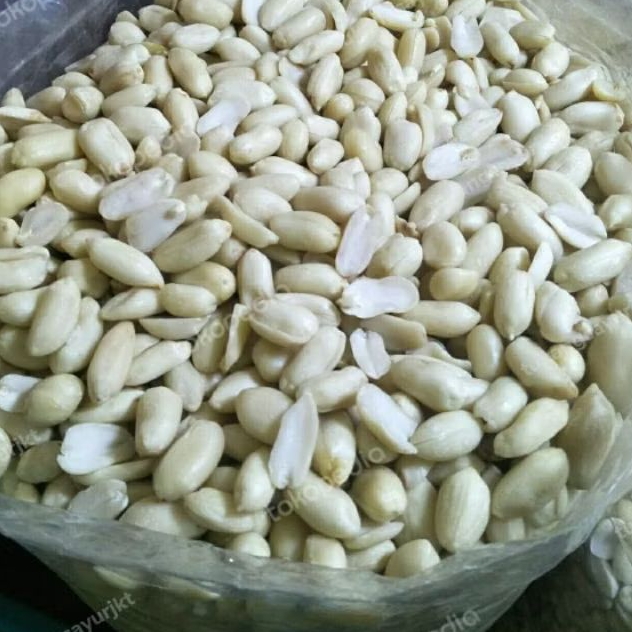 Jual KACANG BAWANG KUPAS 1KG MENTAH. KWALITAS SUPER | Shopee Indonesia