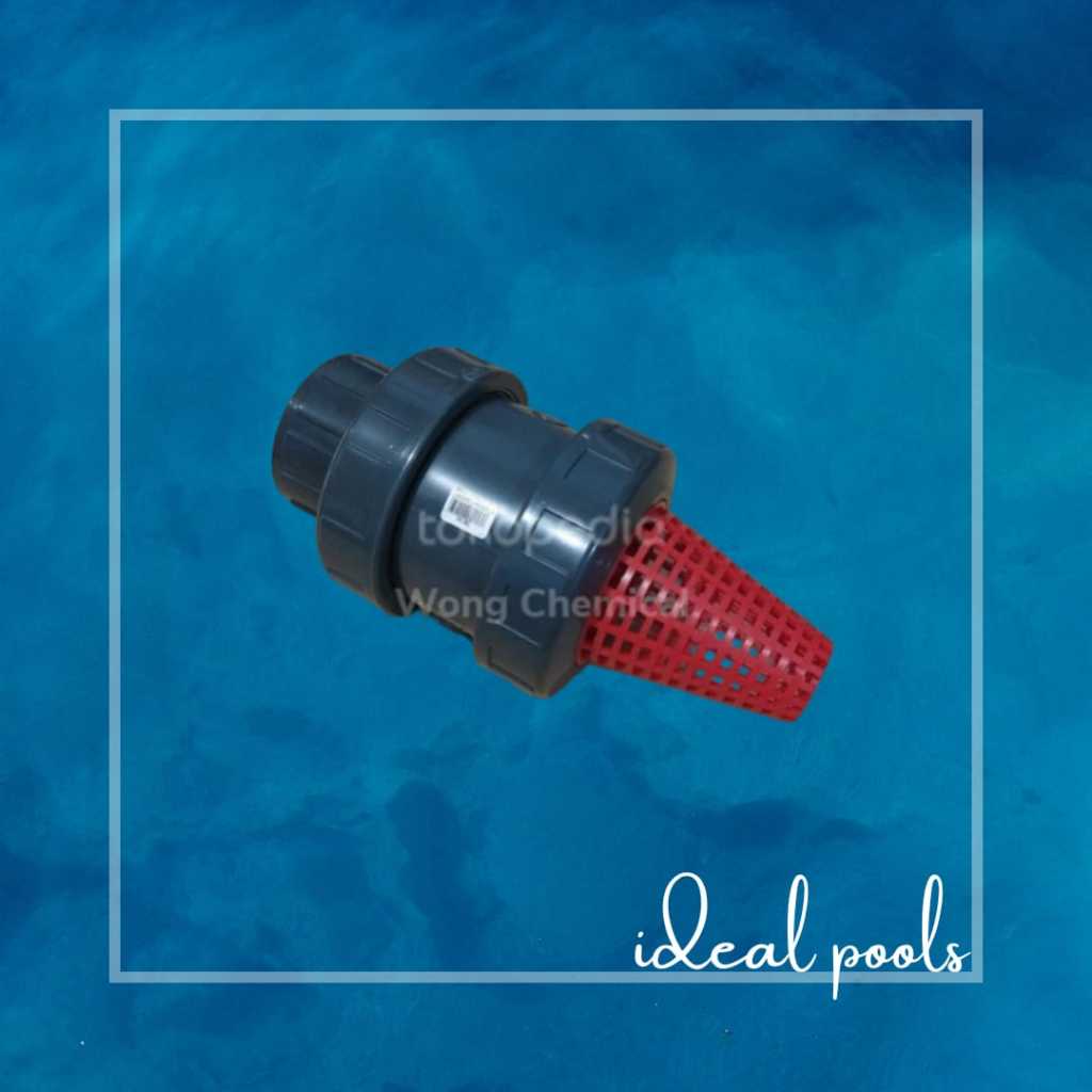Jual Foot Valve Kolam Renang 2 in Merk Astral | Check Valve Overflow ...