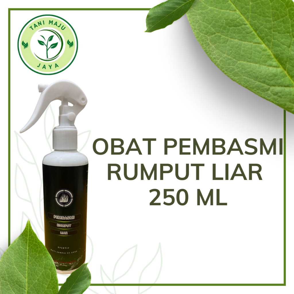 Jual Obat Ampuh Membasmi Rumput Liar Sampai Akar Kemasan 250 ML ...