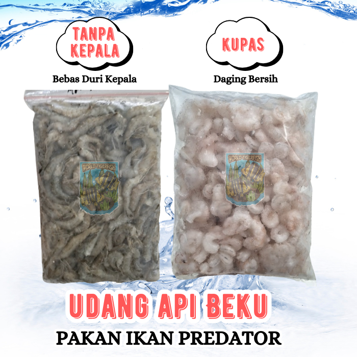 Jual Udang Api Beku Pakan Ikan Arwana 500gr Udang Api Segar Pakan Ikan ...