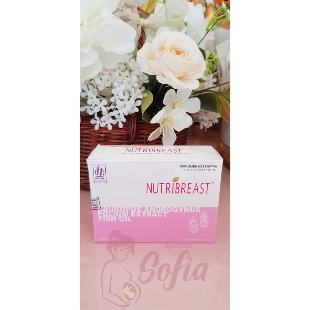 Jual Nutrindo Nutribreast 30 Kapsul | Asi Booster | Pelancar Asi ...