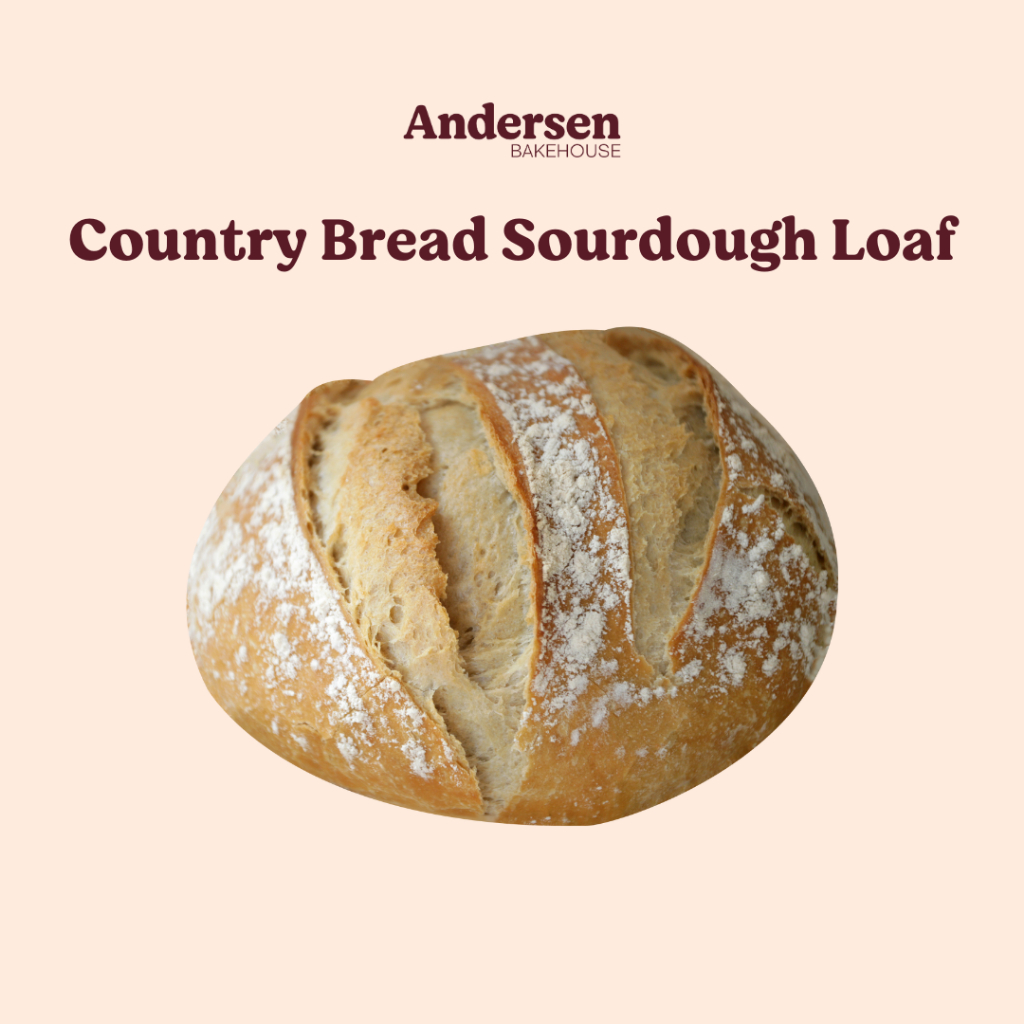 Jual Andersen Bakehouse Country Bread Sourdough Loaf | Shopee Indonesia