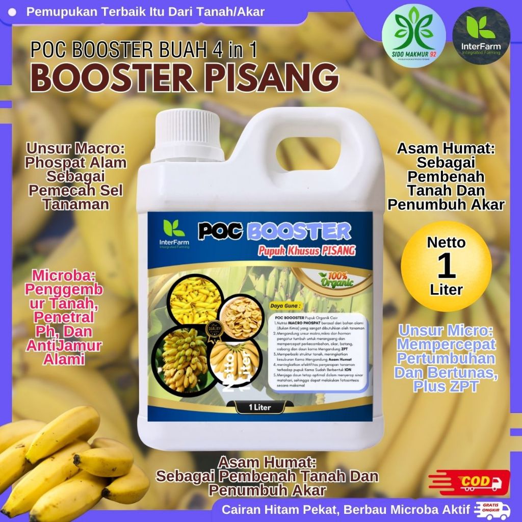 Jual Pupuk pelebat buah pisang , Pupuk untuk tanaman pisang, Pupuk cair organik untuk pisang 1 ...