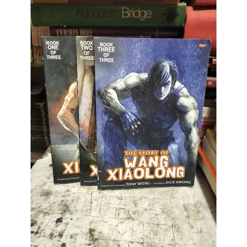 Jual Komik Hongkong THE STORY OF WANG XIAOLONG 1-3 by Tony Wong | Shopee Indonesia