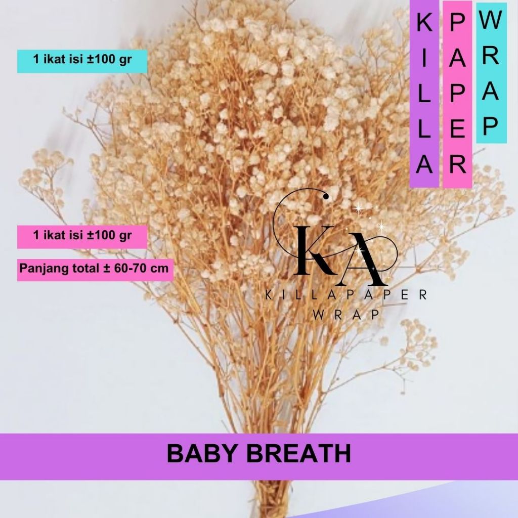 Jual 25 GRAM PRESERVED BABY BREATH / DRIED FLOWER AWETAN / BUNGA KERING ...