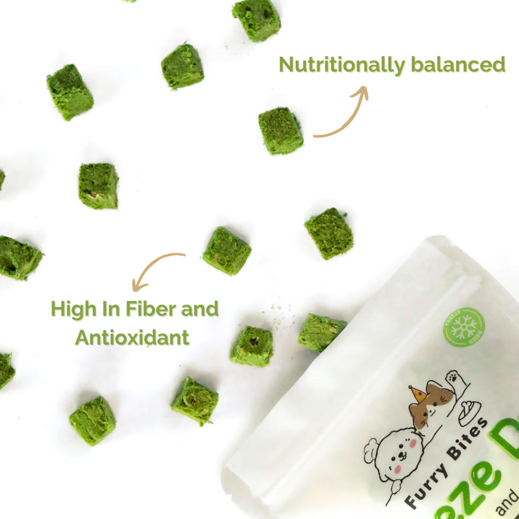 Jual Furry Bites - Cat Grass and Chicken Freeze Dried (40g) | Cat food ...