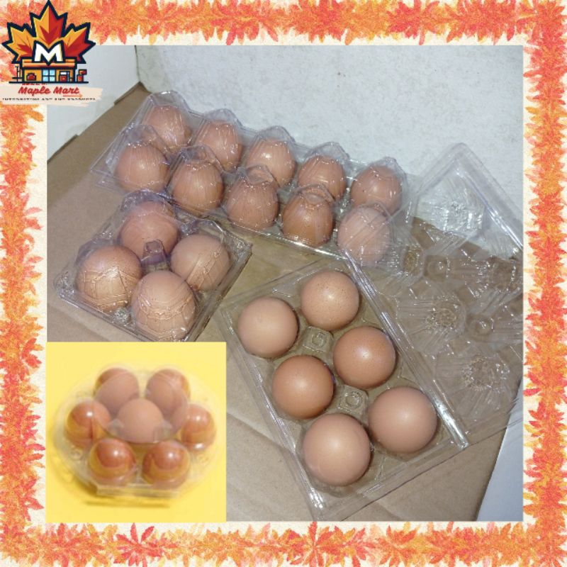 Jual Maple Kitc - Mika Telur isi 4, 6, 7, 10 / Egg Tray Kotak Plastik ...