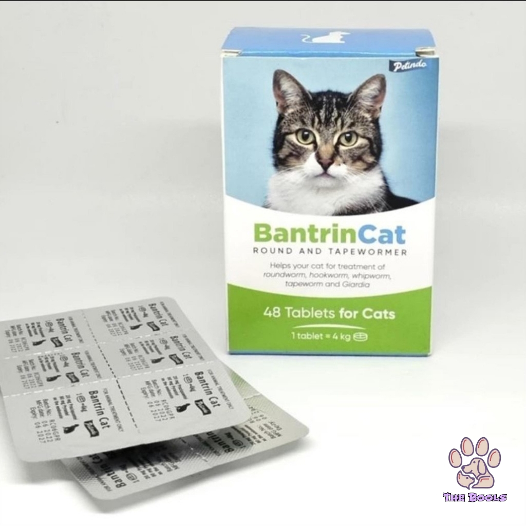 Jual (The Bool's) 1 TABLET BANTRIN CAT // OBAT CACING KUCING (PER ...