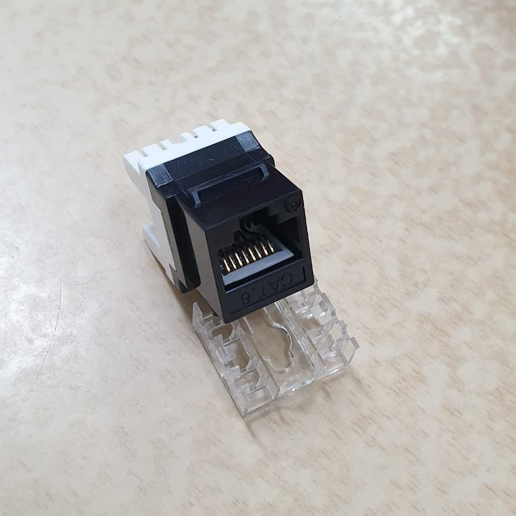 Jual Modular Jack Cat 6 RJ45 Cat 6 Tolless Keystone | Shopee Indonesia