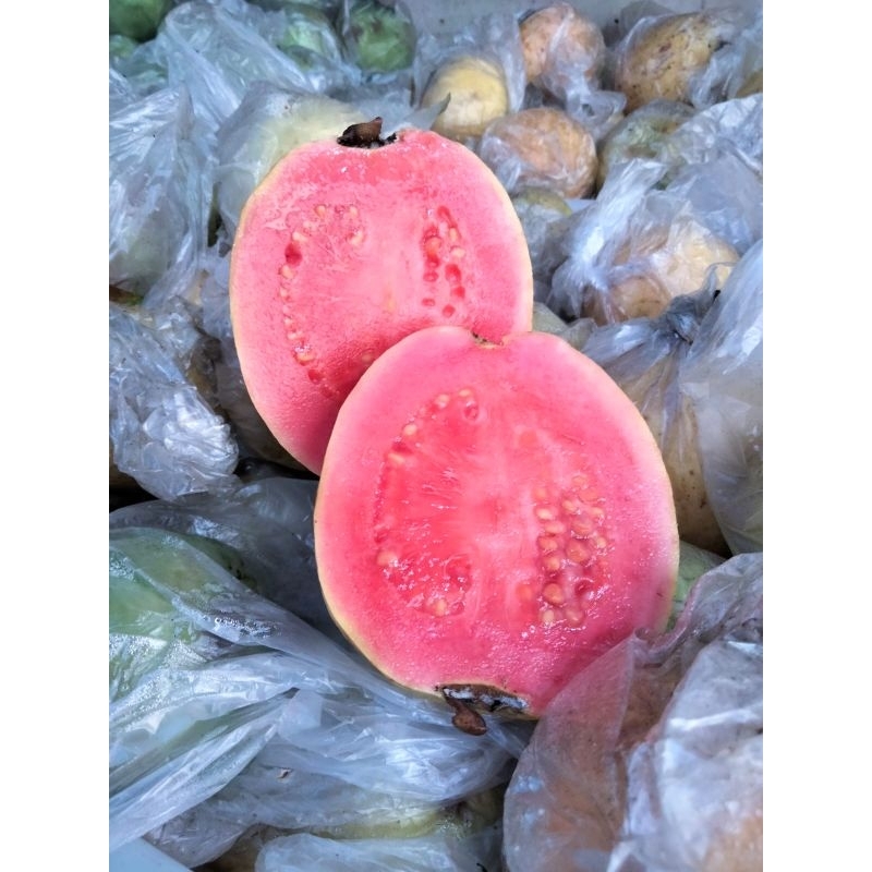 Jual jambu biji / jambu jus 1kg | Shopee Indonesia