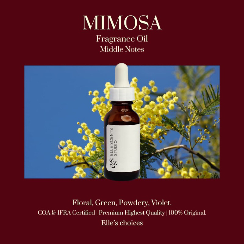 Jual MIMOSA Fragrance Oil | Shopee Indonesia