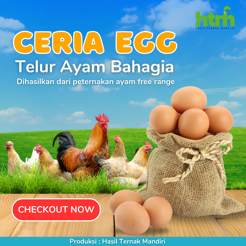 Jual Telur Ayam Bahagia - Ceria Egg 6 Butir | Shopee Indonesia