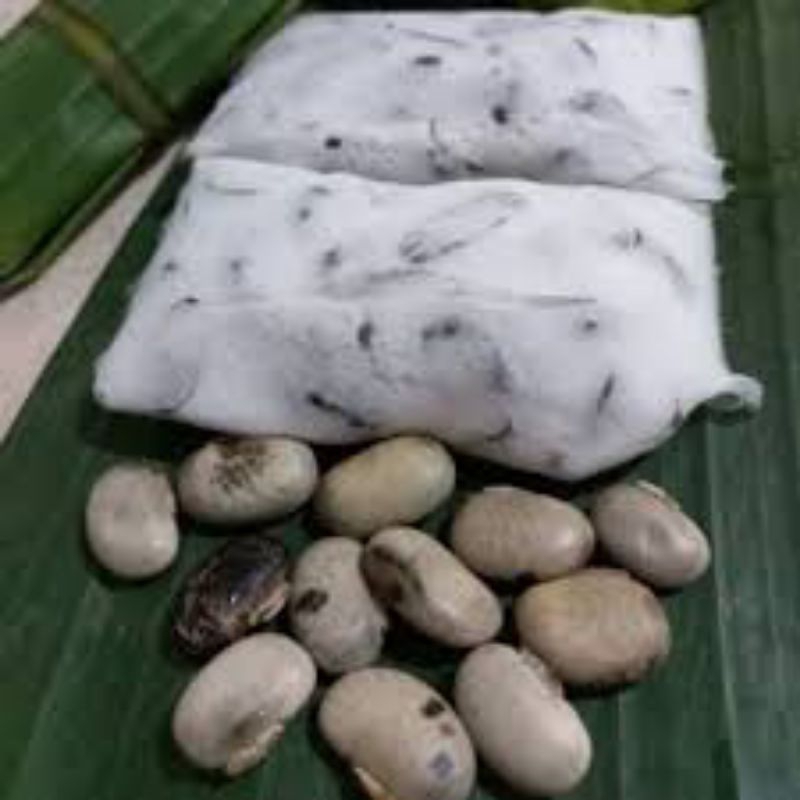 Jual Tempe Benguk Promo 10 bks (Musiman Mei 2025) Khas Tradisional ...