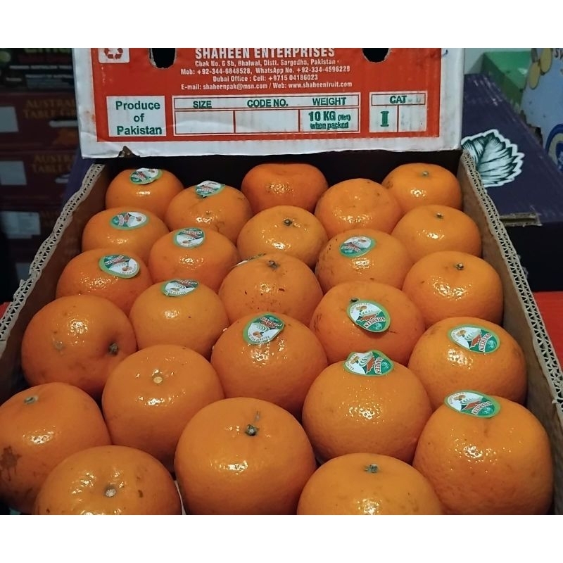 Jual Indukbuah Jeruk Mandarin Kino Pakistan 1 Dus ±10 kg | Shopee Indonesia