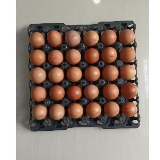 Jual Telur Ayam Negri Omega 3 Asli Fresh Grade Kecil (30 Butir ...