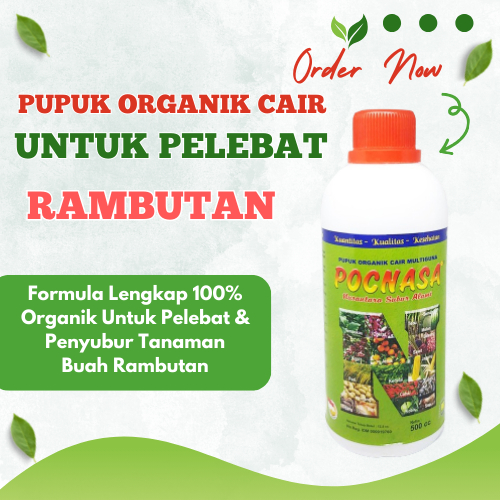 Jual Pupuk Organik Cair Pelebat Buah Rambutan Booster Tanaman Cepat Berbuah Penyubur Penguat ...