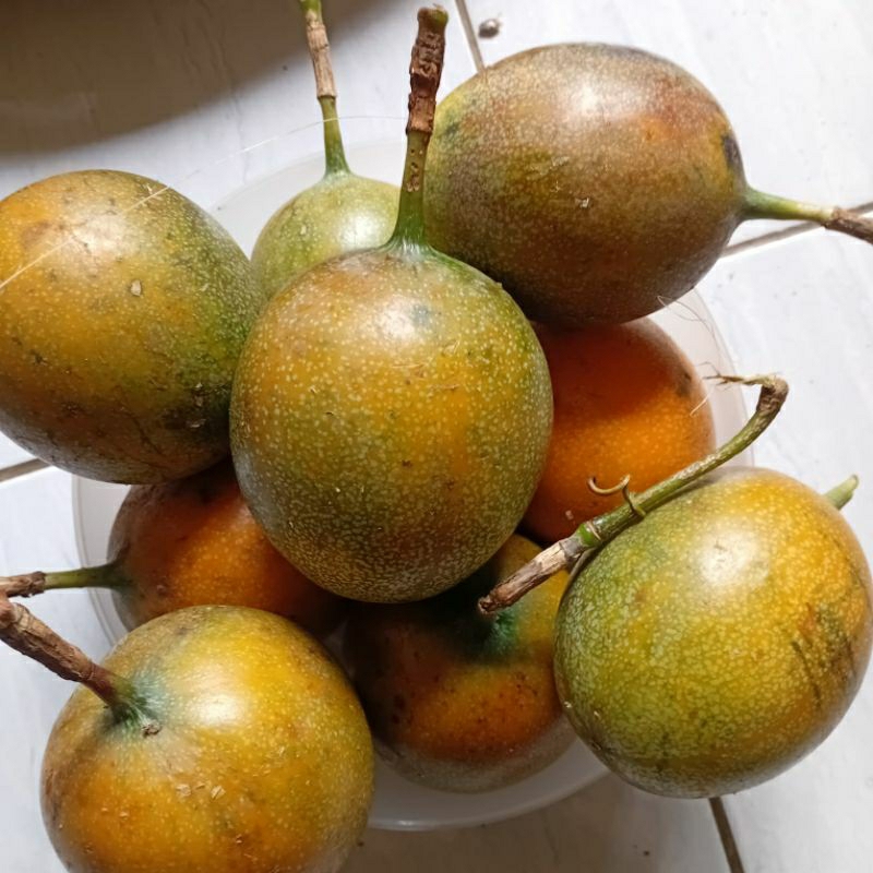 Jual JUAL MARKISA MADU 1KG SPESIAL BUAH TROPIS | Shopee Indonesia