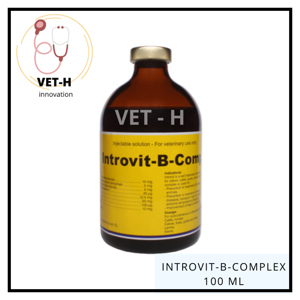 Jual Introvit-B-Complex 100 ml TMC - Injeksi Vitamin B Kompleks ...