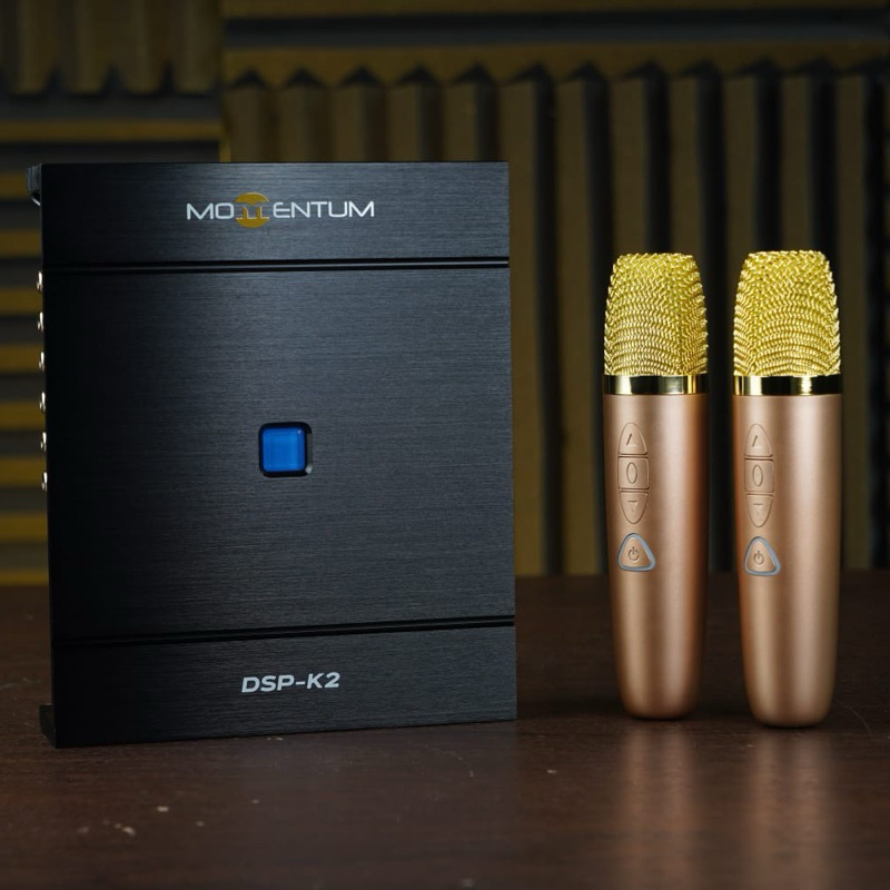 Jual Momentum DSP K2 Processor 12Ch Karaoke Built In Power & Free 2 PCS ...