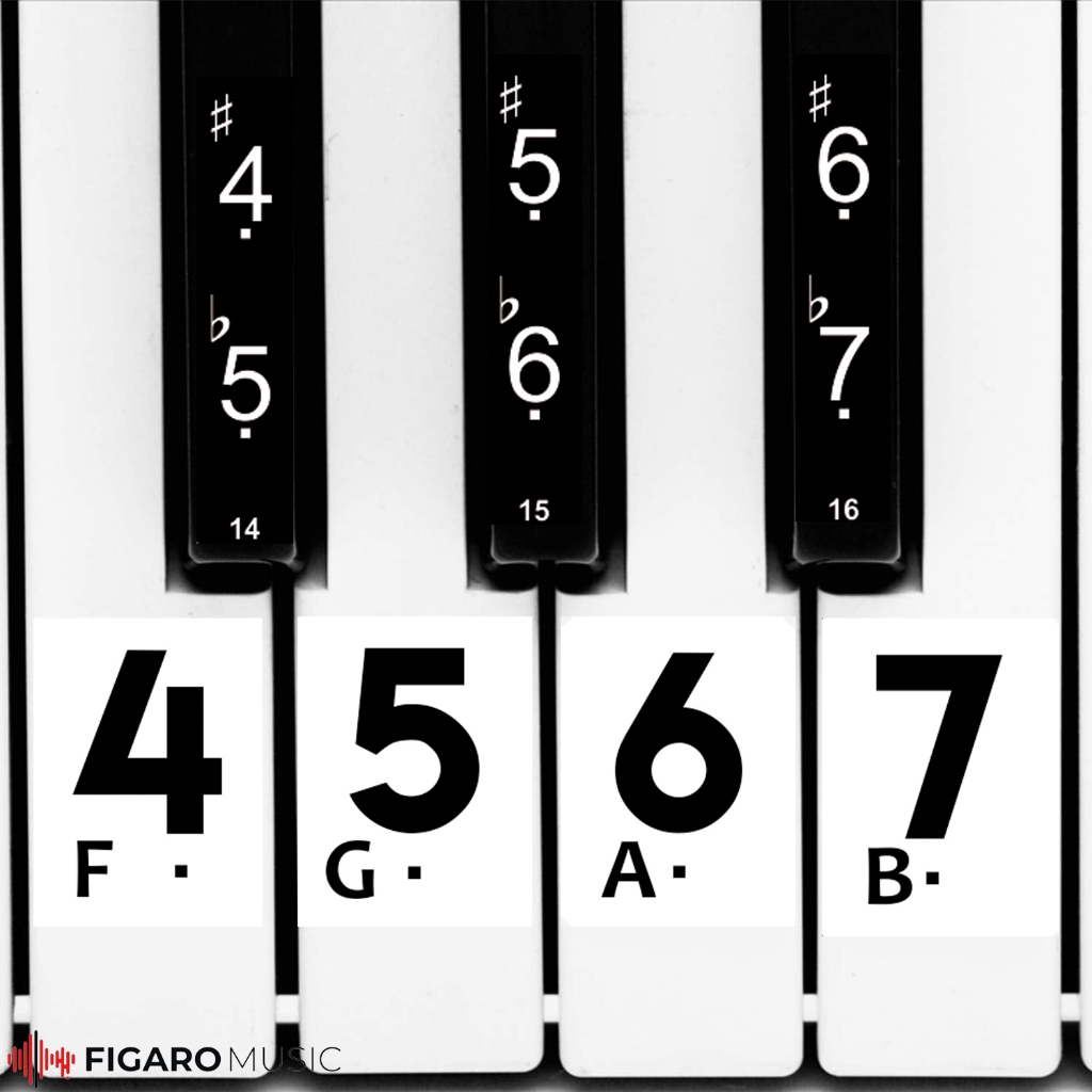 Jual Stiker Label Tuts Piano Keyboard Transparant sticker Notasi Huruf ...