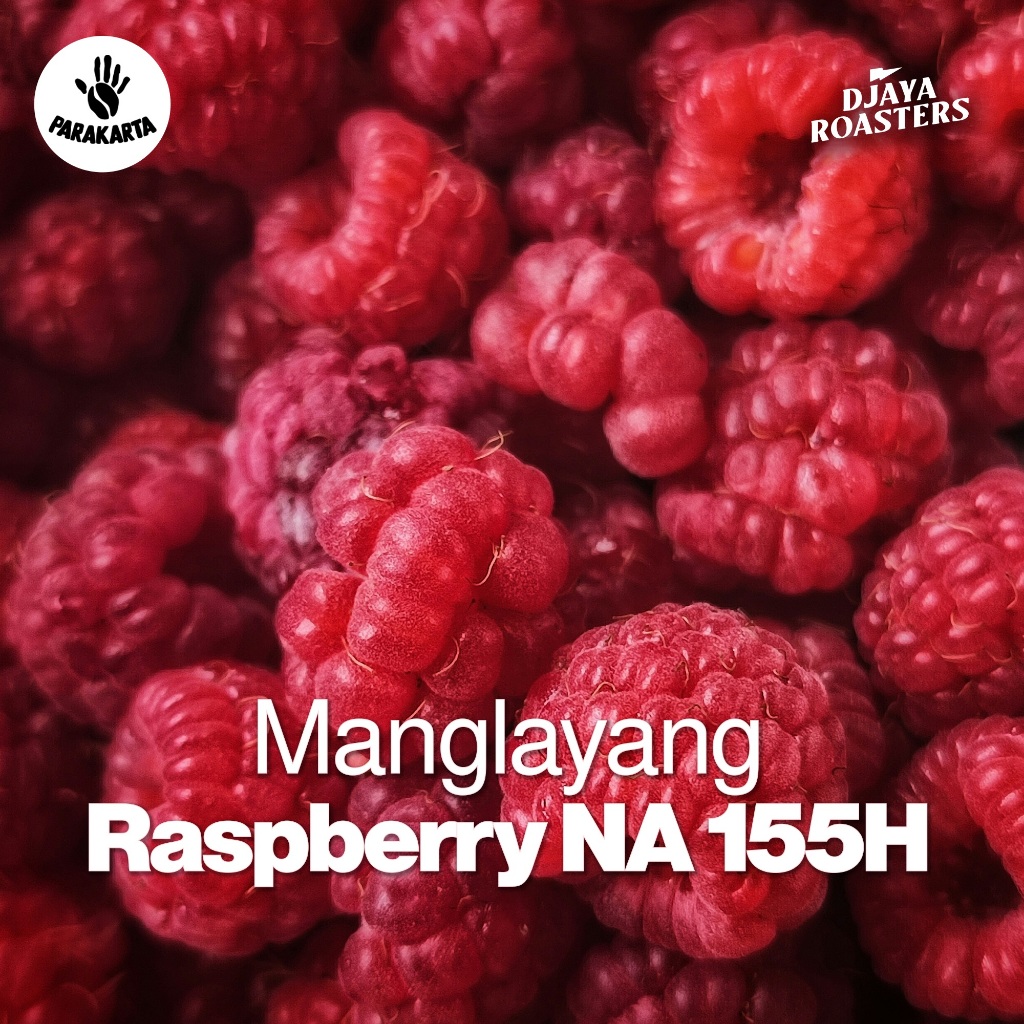 Jual Gewor Manglayang Raspberry NA155H | Shopee Indonesia