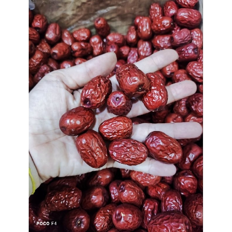Jual Angco merah cina kurma merah ukuran besar dan kecil ukuran ...