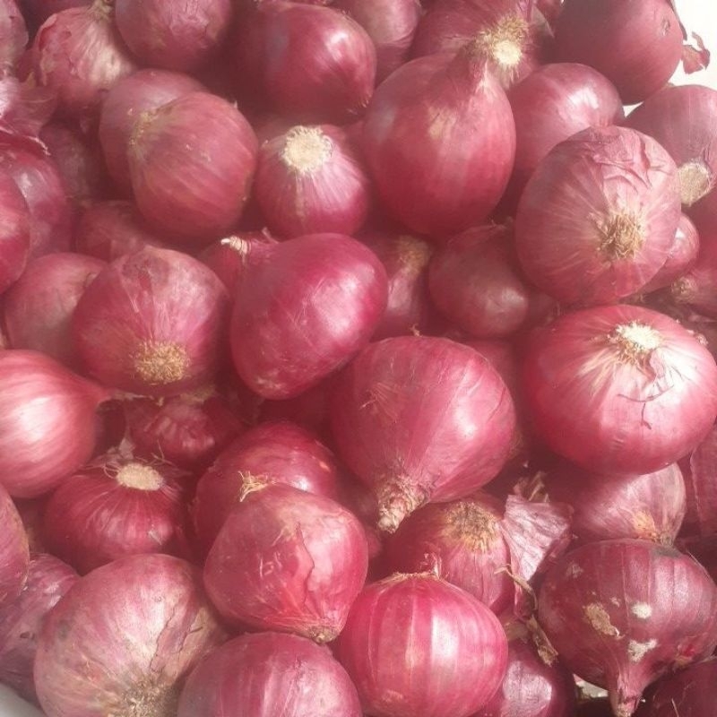Jual Bawang Merah India 1kg. . | Shopee Indonesia