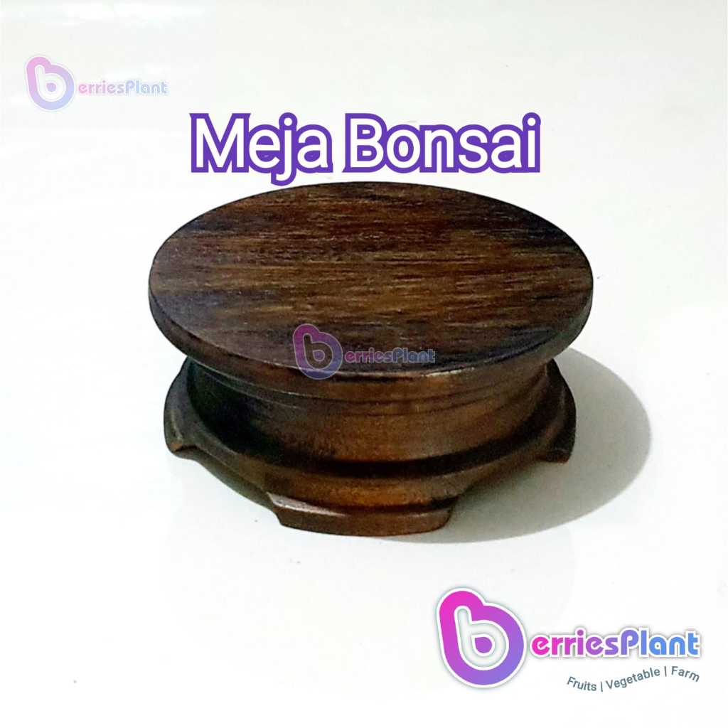 Jual Meja Bonsai Shito Bulat Ekonomis | Meja Pajang | Meja Display ...