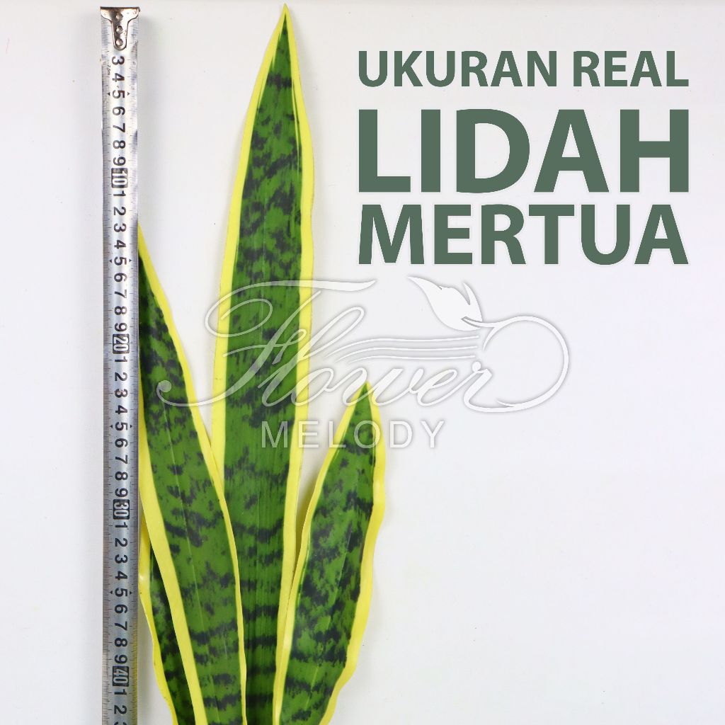 Jual [D-LM037] DAUN LIDAH MERTUA HIJAU ARTIFICIAL | Shopee Indonesia