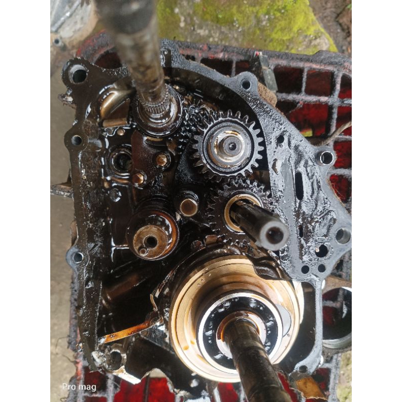 Jual rasio motor kimko spike 120 cc | Shopee Indonesia