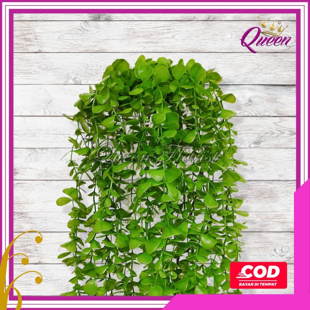 Jual Juntai Ekaliptus Panjang 1 Pcs - pelaminan - hiasan import ...